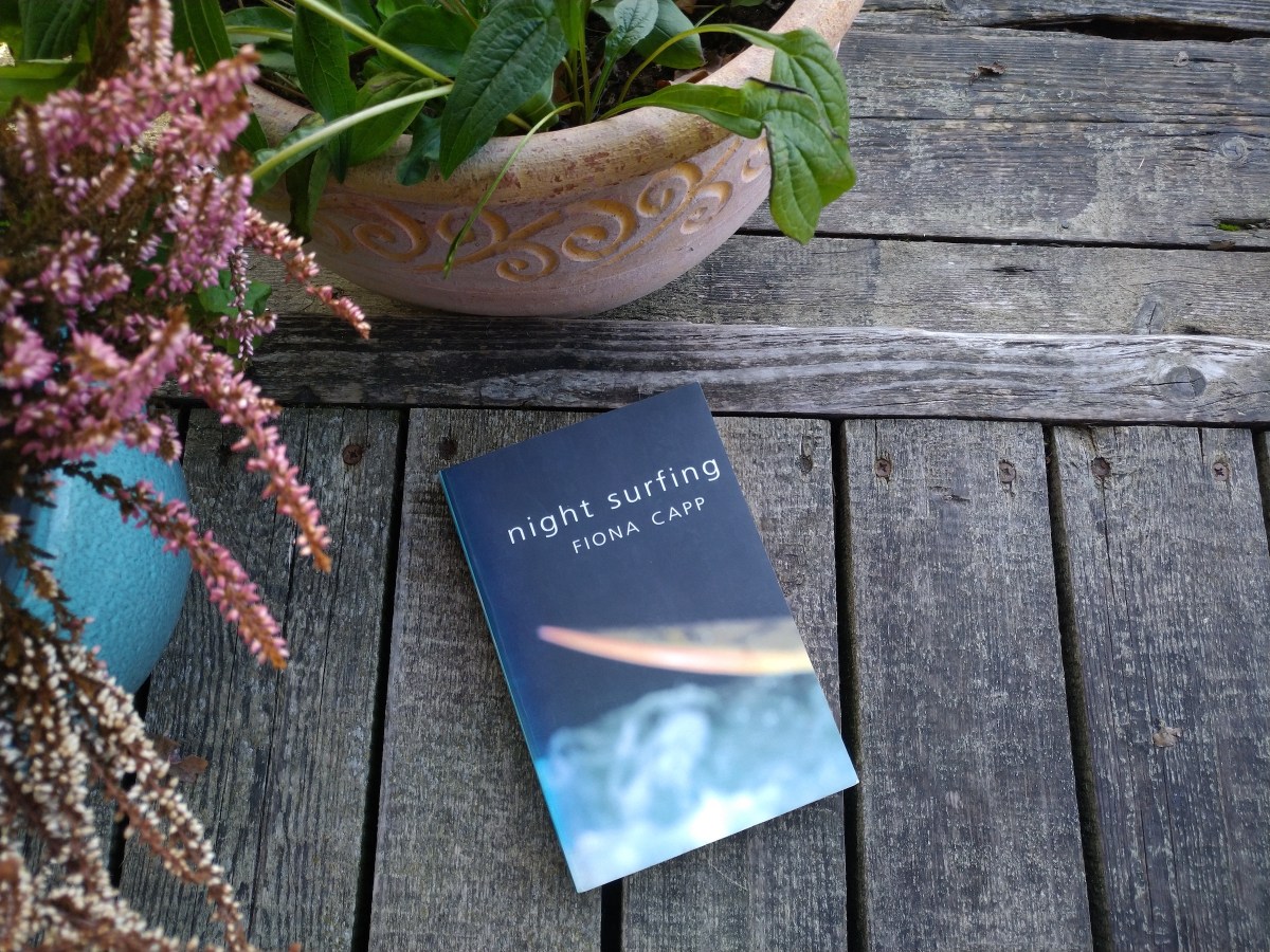 510: Fiona Capp: Night Surfing – SEA LIBRARY BOOKS