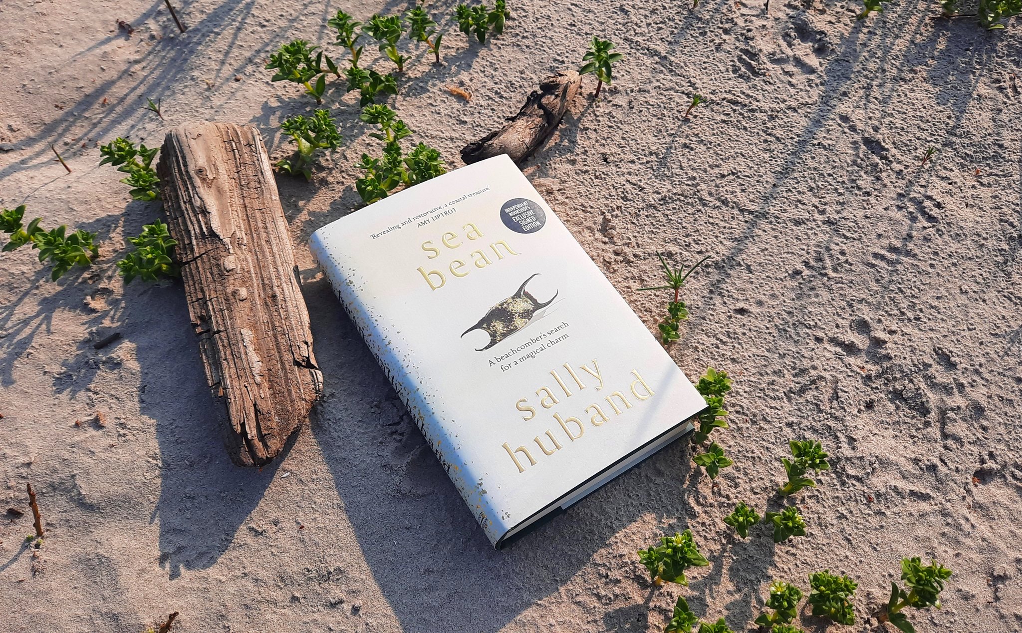 Beachcombing – SEA LIBRARY BOOKS