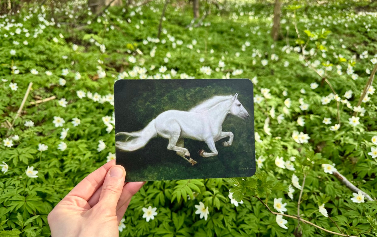 007 :: Postcard from California – SEA LIBRARY BOOKS